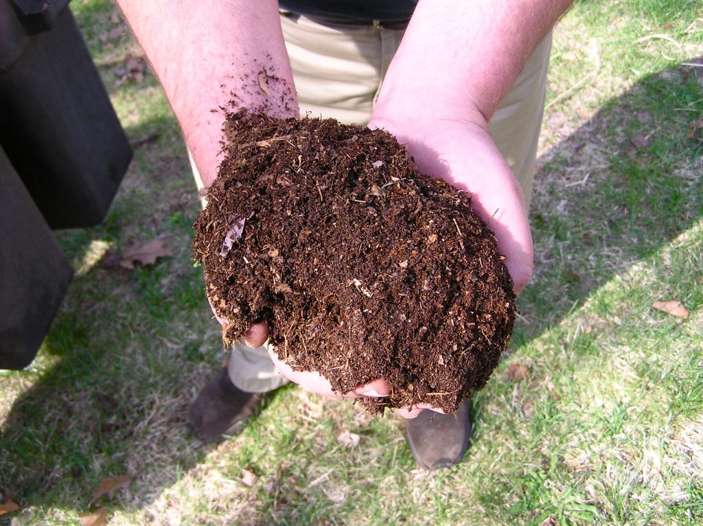 Benefits of Leaf & Tree Composting | Econo Tree Service, Inc.