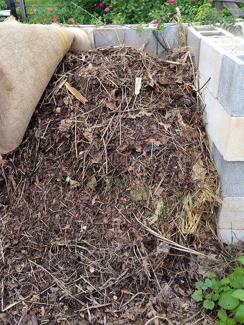 Benefits of Leaf & Tree Composting | Econo Tree Service, Inc.